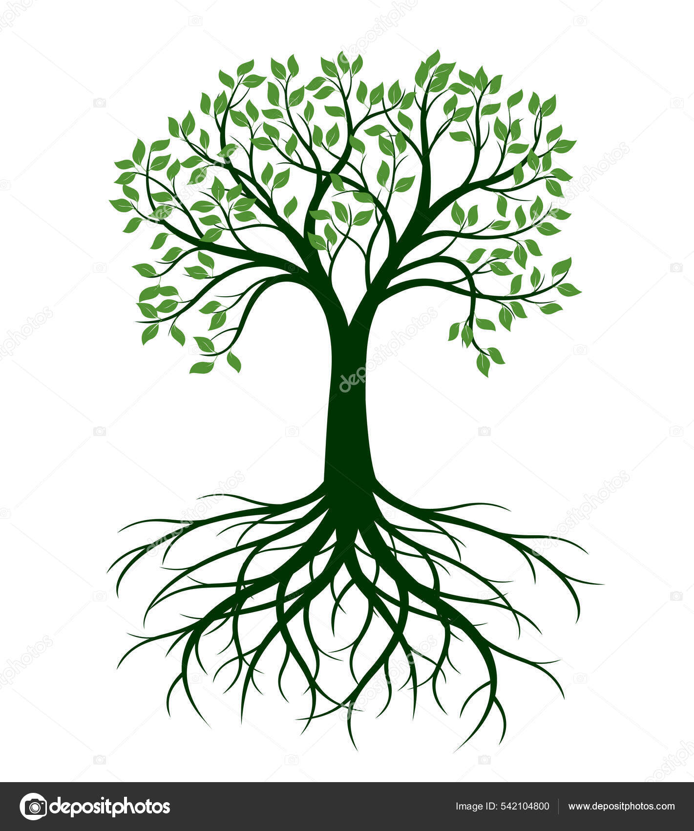 Shape Green Tree Roots Vector Outline Illustration Plant Garden Stock ...