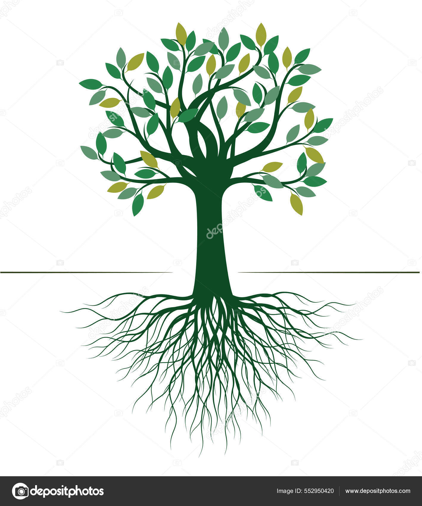 Green Tree Roots Vector Outline Illustration Stock Vector by ...