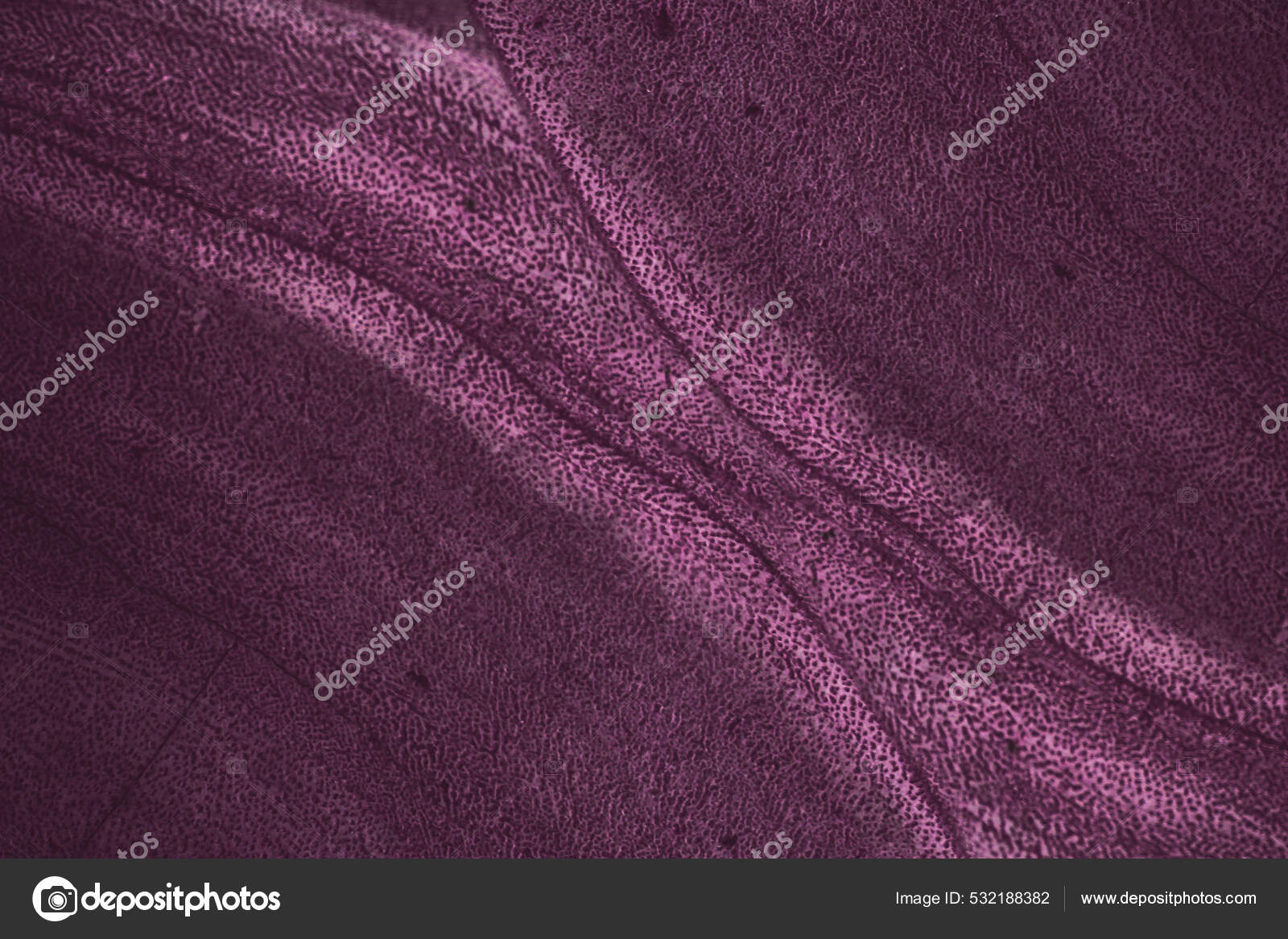 Purple Rough Concrete Wall Background Texture Background Stock Photo by ...