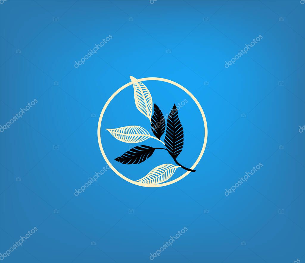 Rama con hojas. Bosquejo Hojas botánicas en un estilo minimalista ...