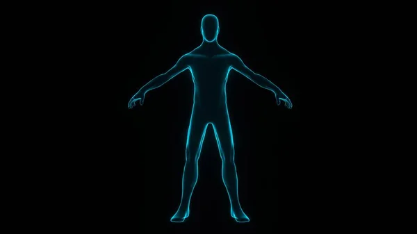 Human body light Stock Photos, Royalty Free Human body light Images ...