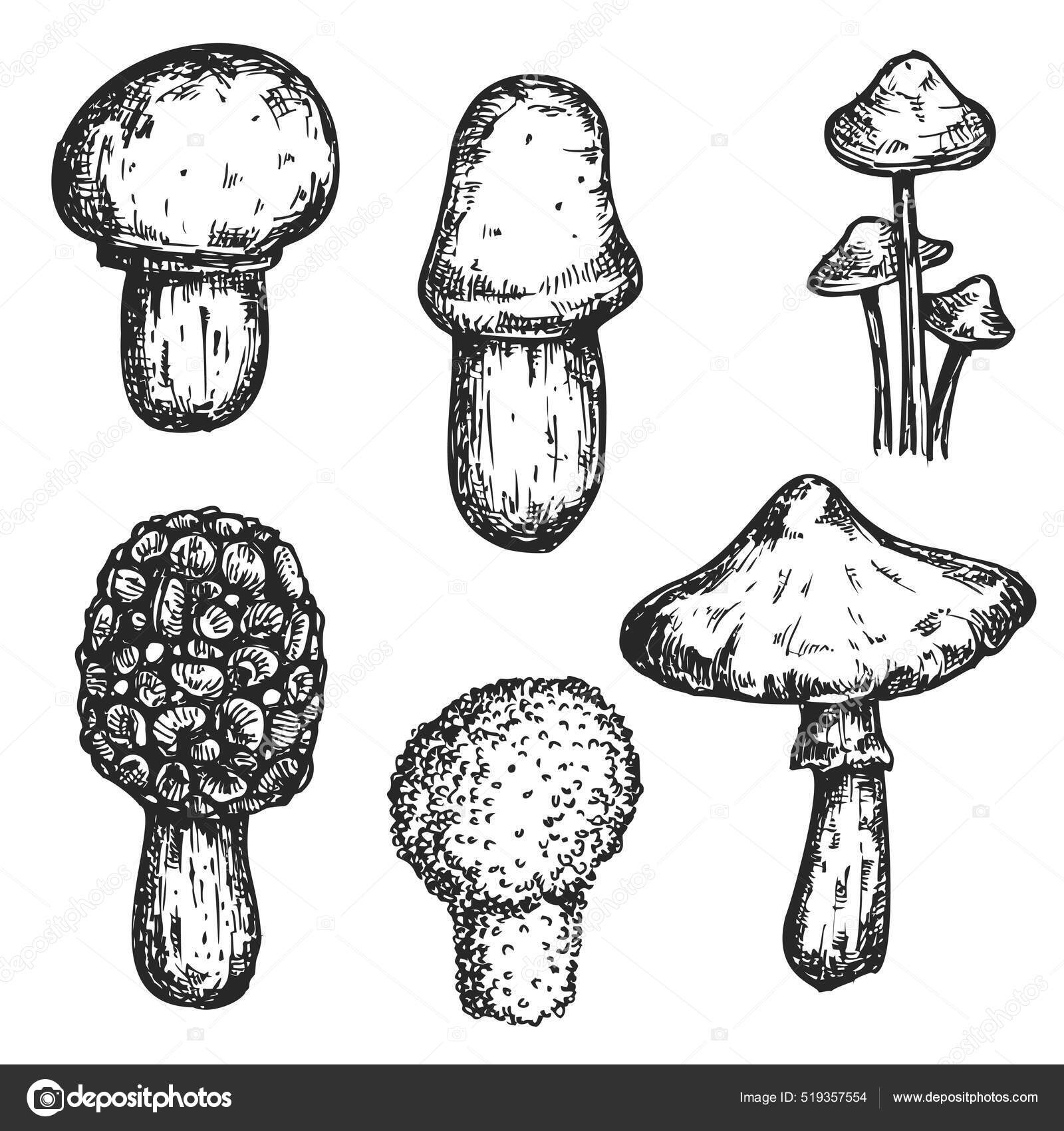 Image vectorielle Ensemble Vectoriel Dessiner Main Différents ...