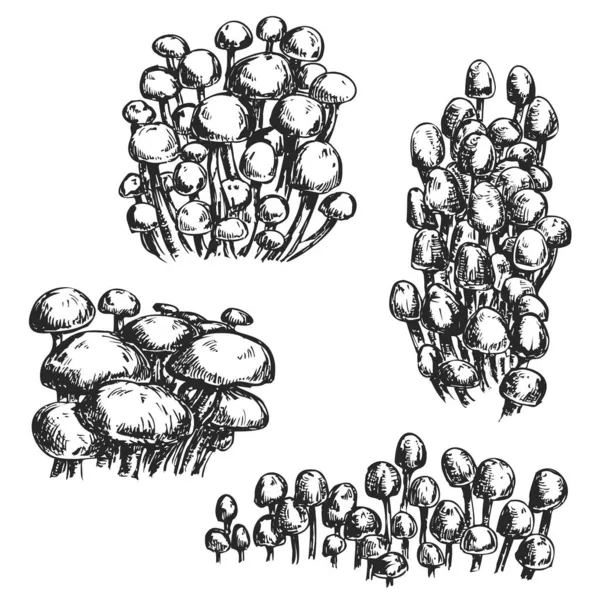 Image vectorielle Ensemble Vectoriel Dessiner Main Différents ...