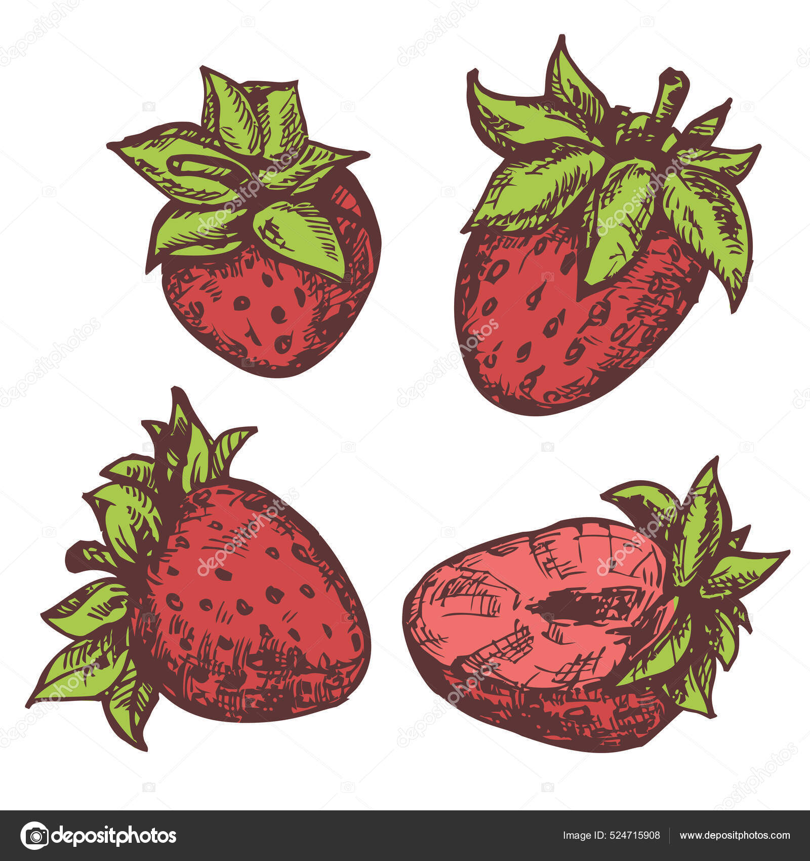 Conjunto Vectores Mano Dibujar Fresa Aislada Sobre Fondo Blanco ...
