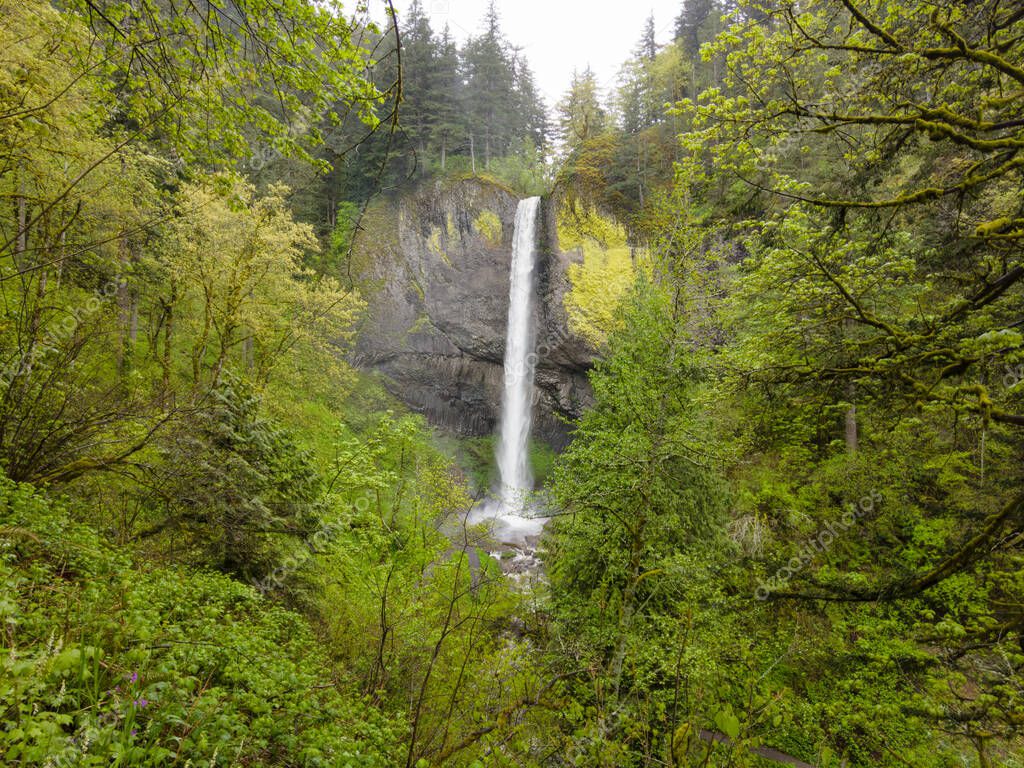 Rodeado por el bosque, las hermosas cataratas Latourell caen casi 250 ...