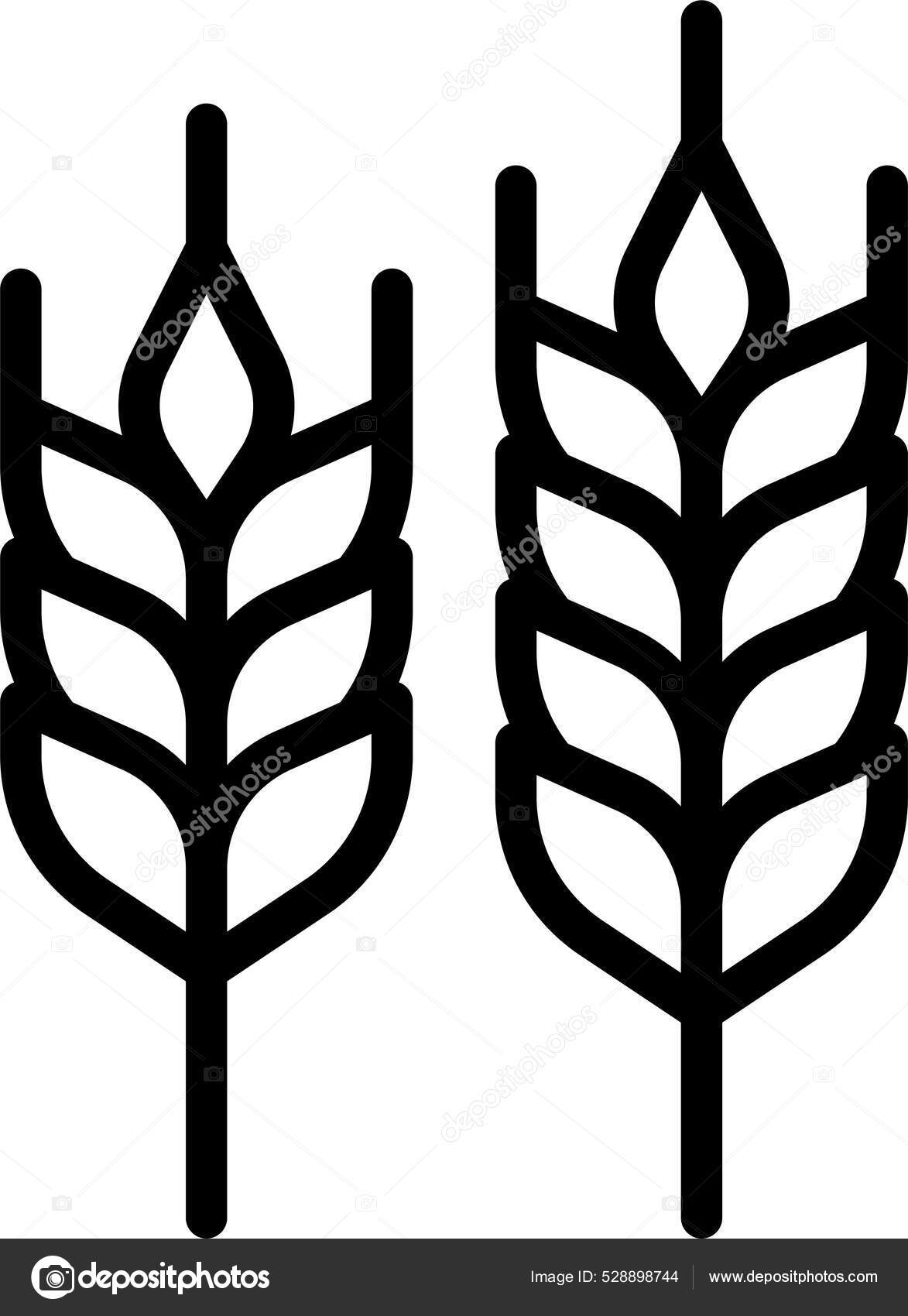 Wheat Grain Cereal Icon Stock Vector by ©iconfinder #528898744