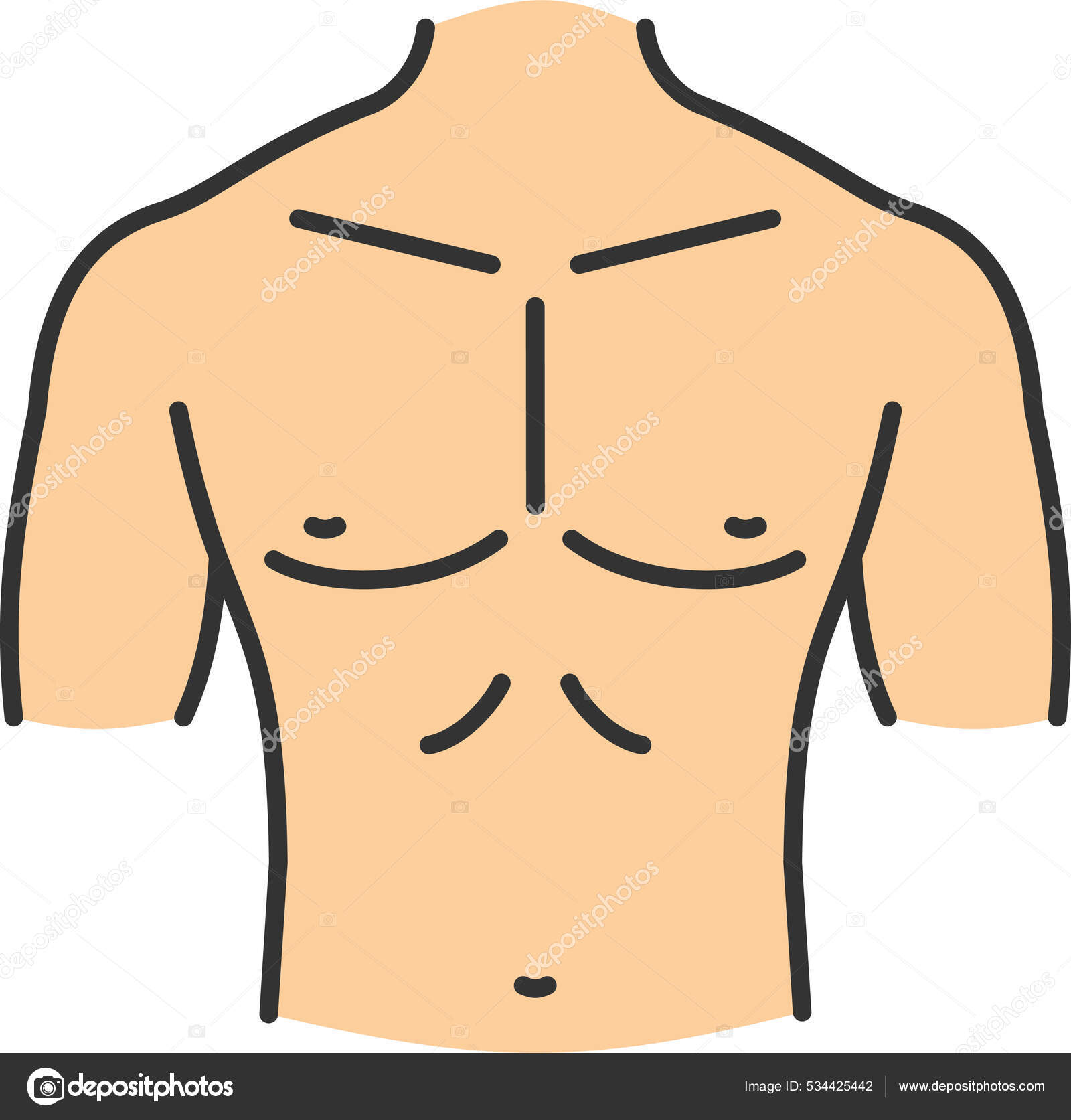 Abdomen Parte Del Cuerpo Icono Del Pecho Estilo Contorno Lleno Vector ...