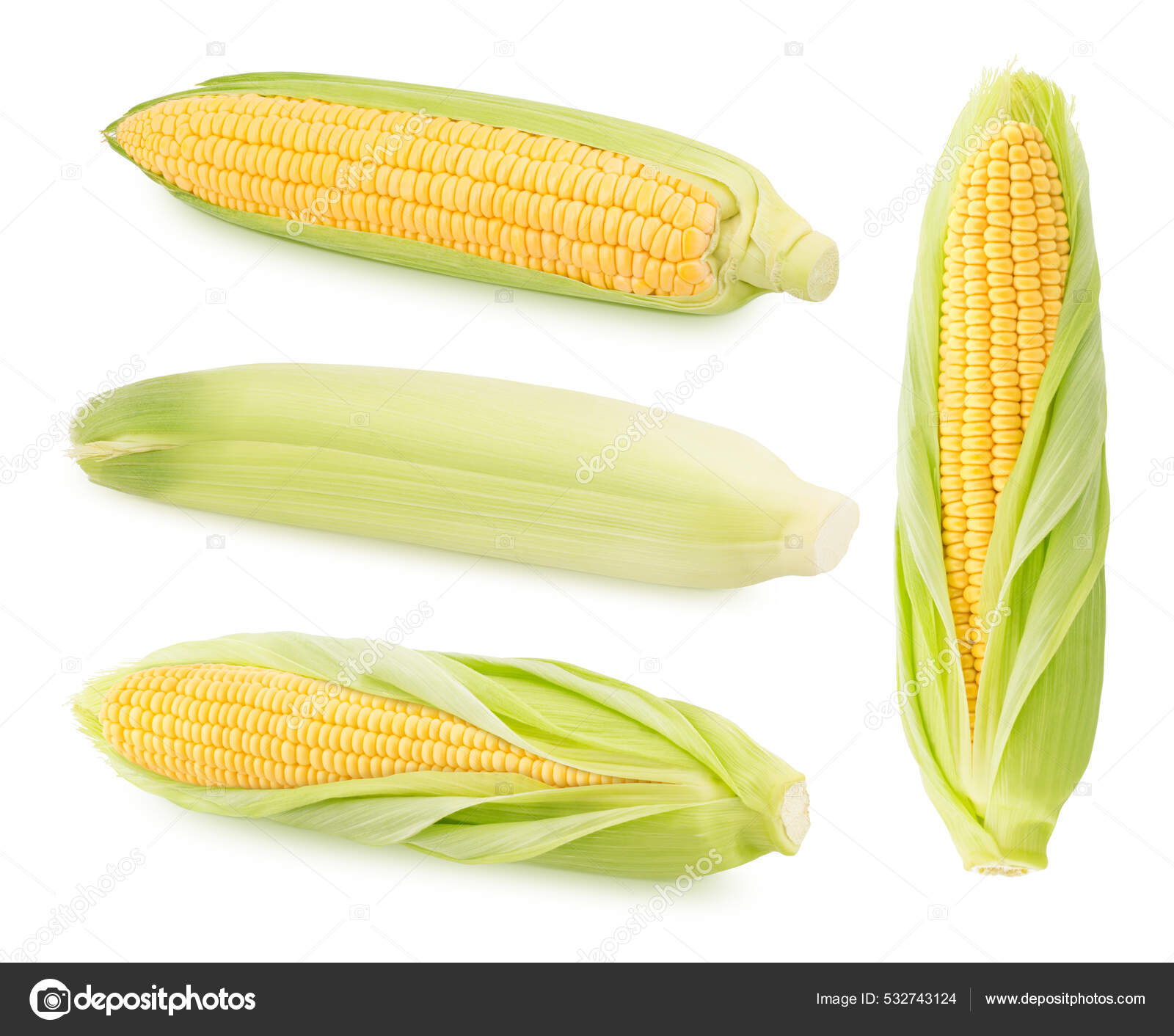 Corn Background Design