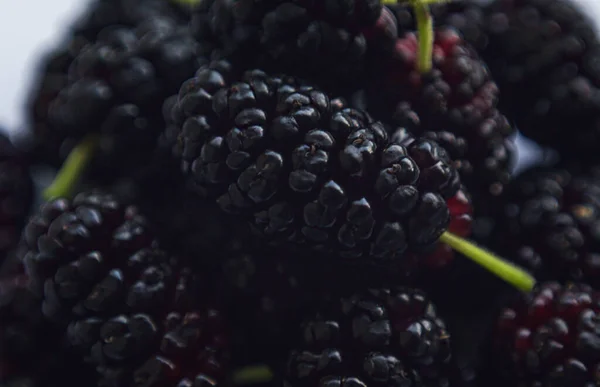 Red mulberry fruit - red ripe mulberry fruit - Stock Image - Everypixel
