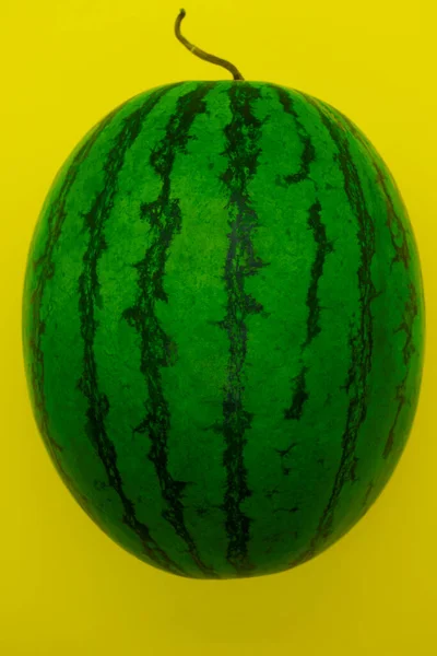 Rotten watermelon Stock Photos, Royalty Free Rotten watermelon Images ...