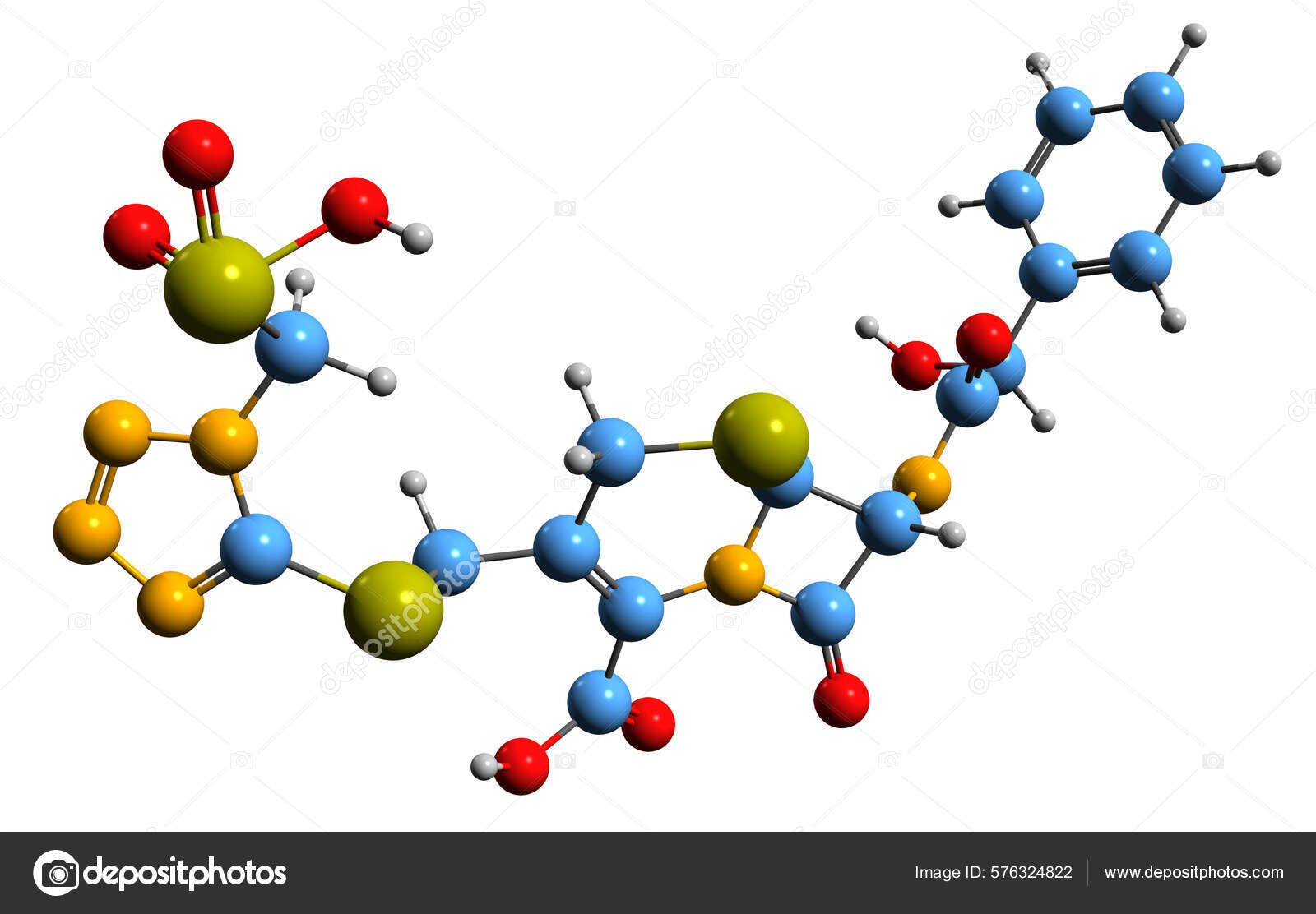 Image Cefonicid Skeletal Formula Molecular Chemical Structure ...