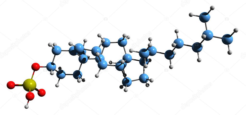 Imagen 3D de la fórmula esquelética de sulfato de colesterol ...