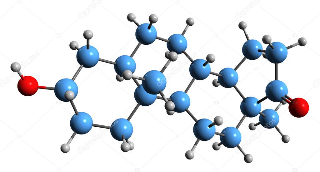 3D image of Epiandrosterone skeletal formula - molecular chemical ...