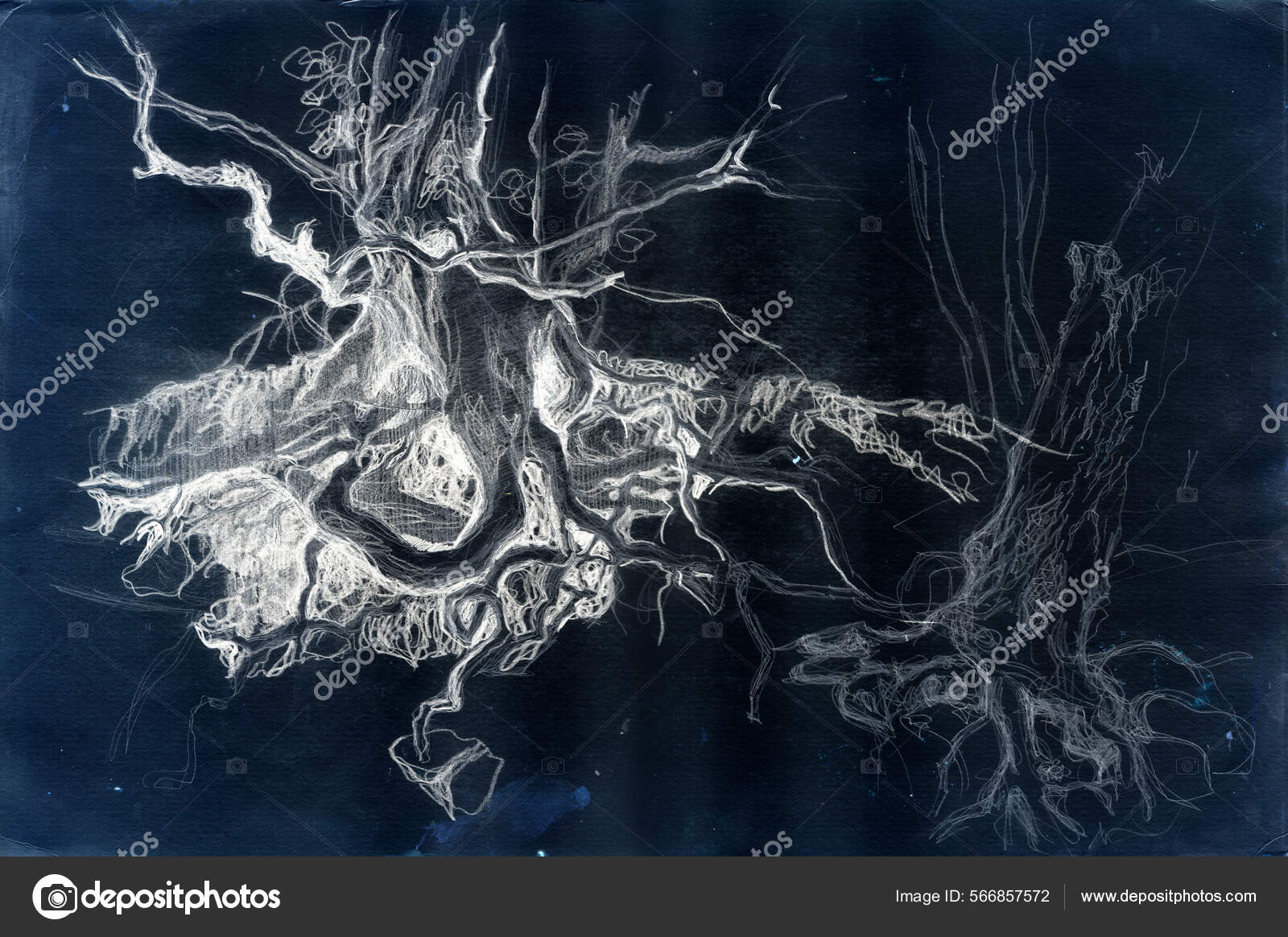 Tree With Roots Pencil Drawing