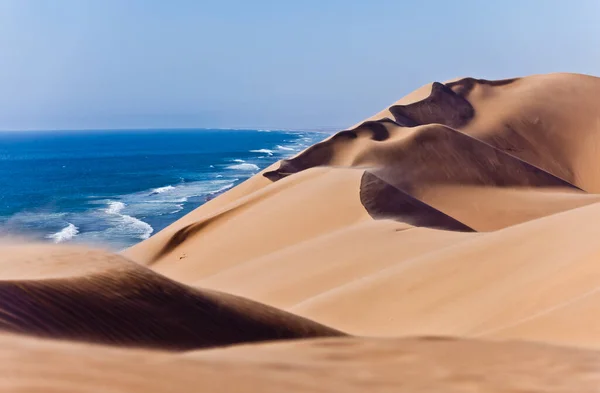 Desert Ocean Coast