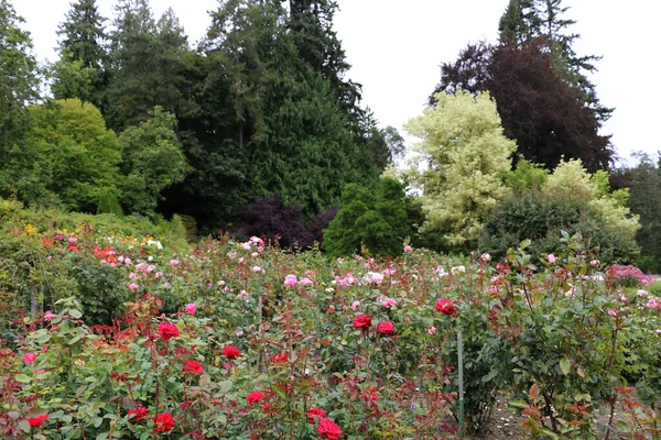 Jardins altamont Stock Photos, Royalty Free Jardins altamont Images ...