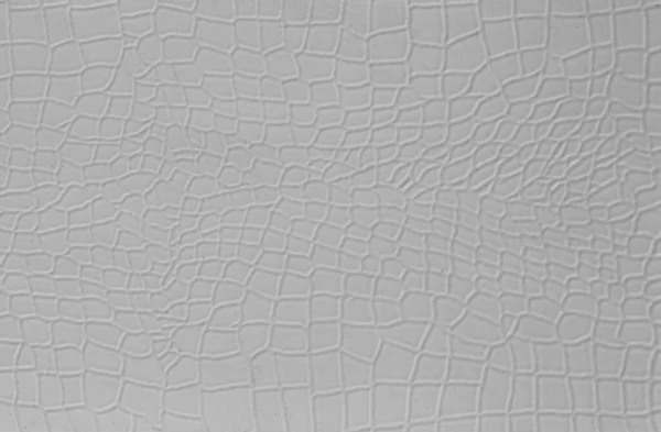White crocodile texture Stock Photos, Royalty Free White crocodile ...