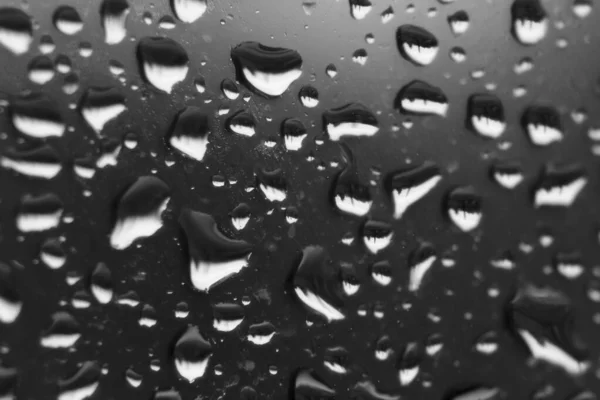 Raindrop Black And White