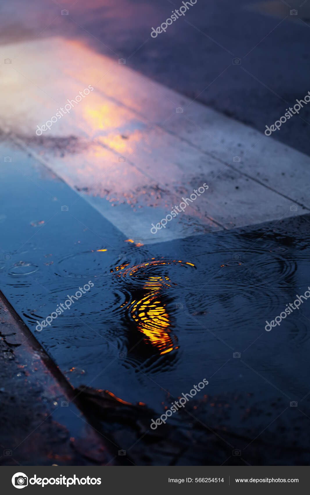 Reflection Traffic Light Puddle Rainy Night City Stock Photo by ...