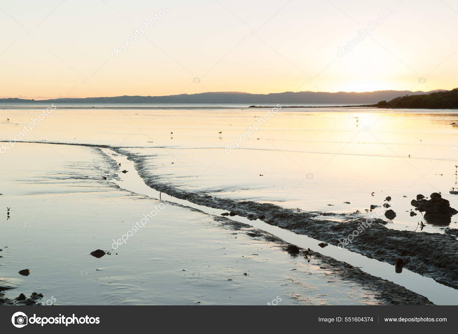 Low Tide Mudflats Hauraki Gulf Sunrise Thames Coast New Zealand — Stock ...