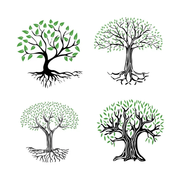 100,000 Family tree roots Vector Images | Depositphotos