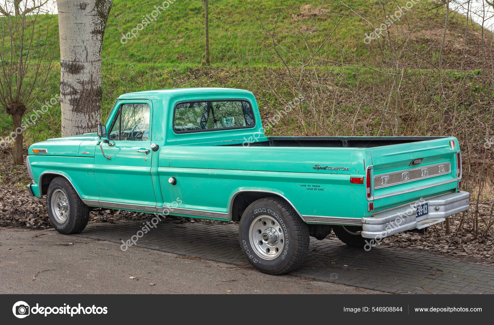 Old Ford Truck Side View