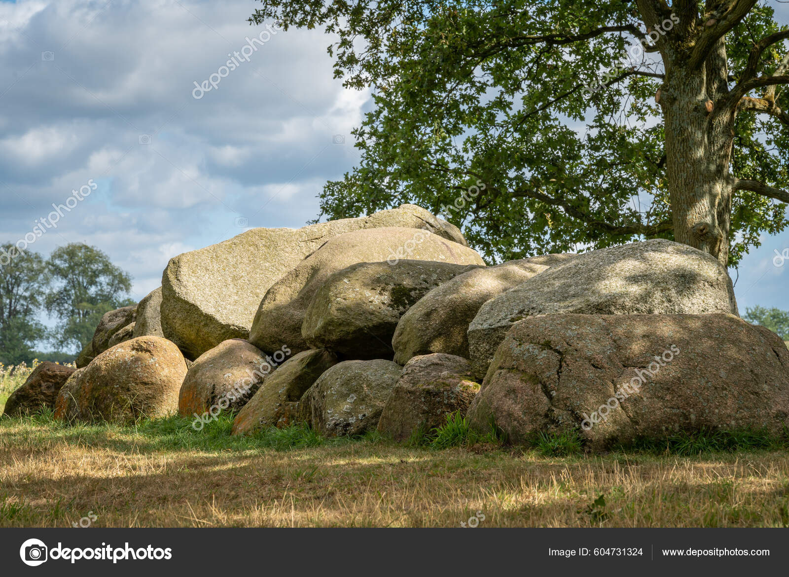 Ancient Dolmen D16 Called Hunebed Dutch Village Balloo Province Drenthe ...