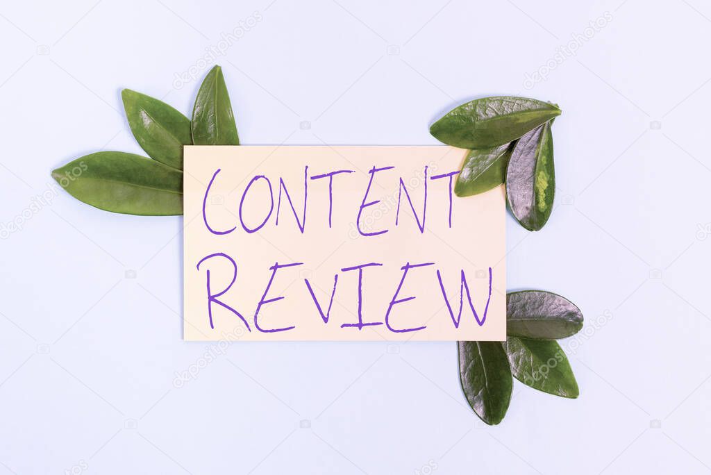 Texto que presenta la revisión de contenido. Concepto significado ...