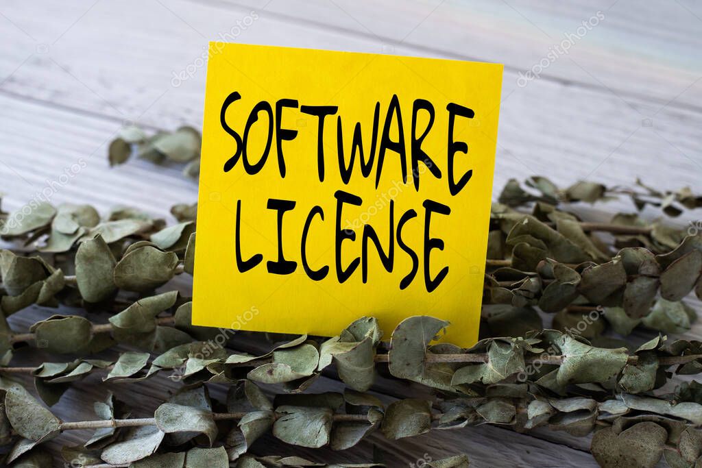 Escribir mostrando licencia de software de texto. Concepto que ...