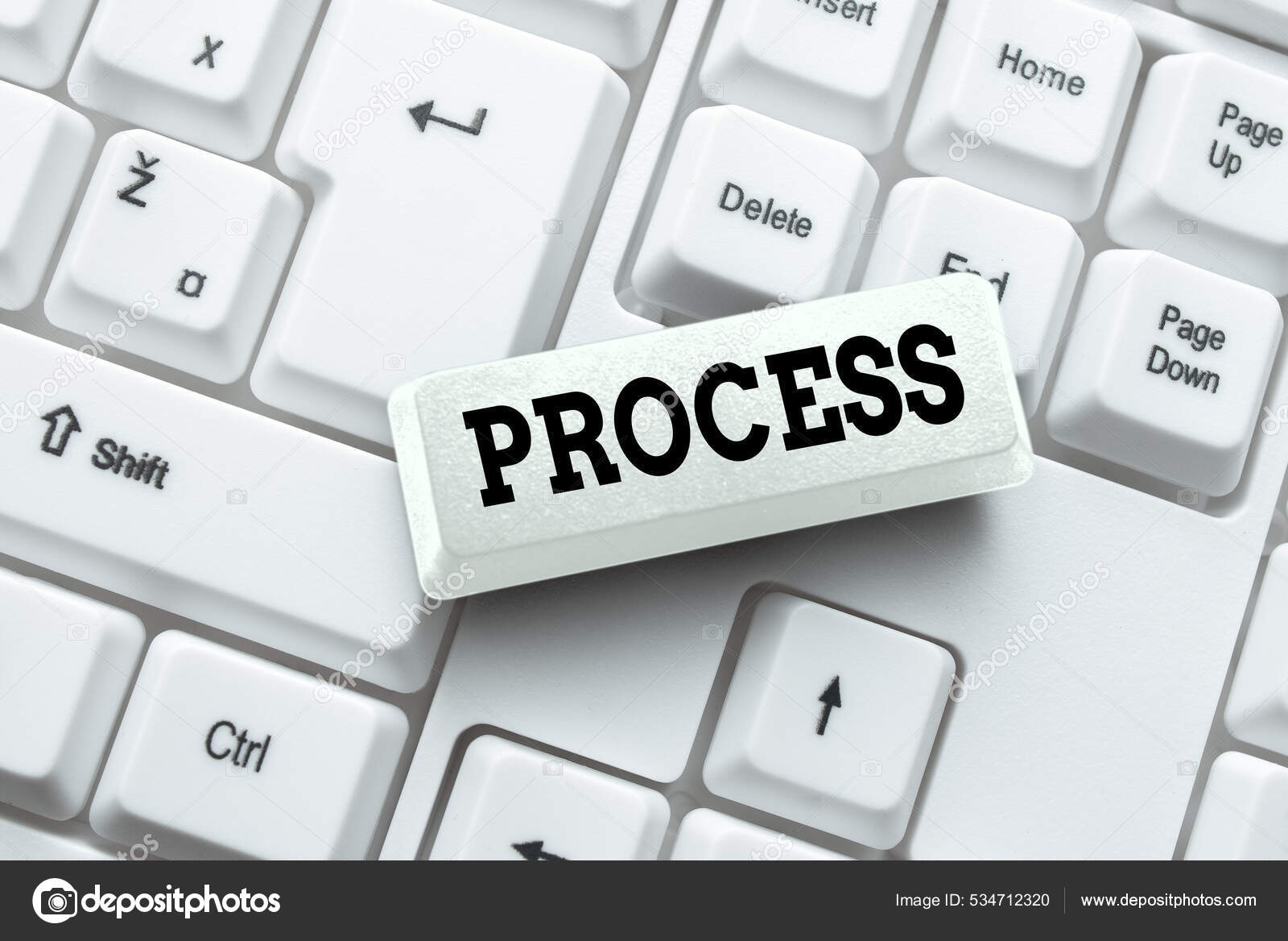 Conceptual display Process. Business overview Standard procedures how ...