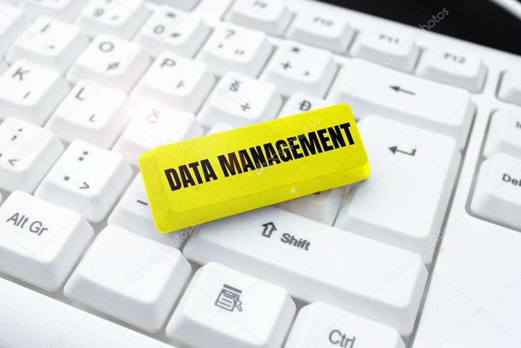 Conceptual caption Data Management. Visión general del negocio La ...