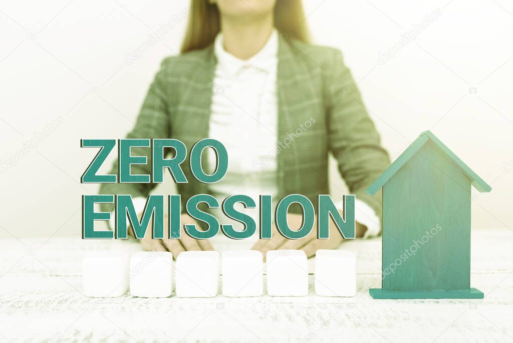 Signo de escritura a mano Emisión Cero. Visión general del negocio se ...