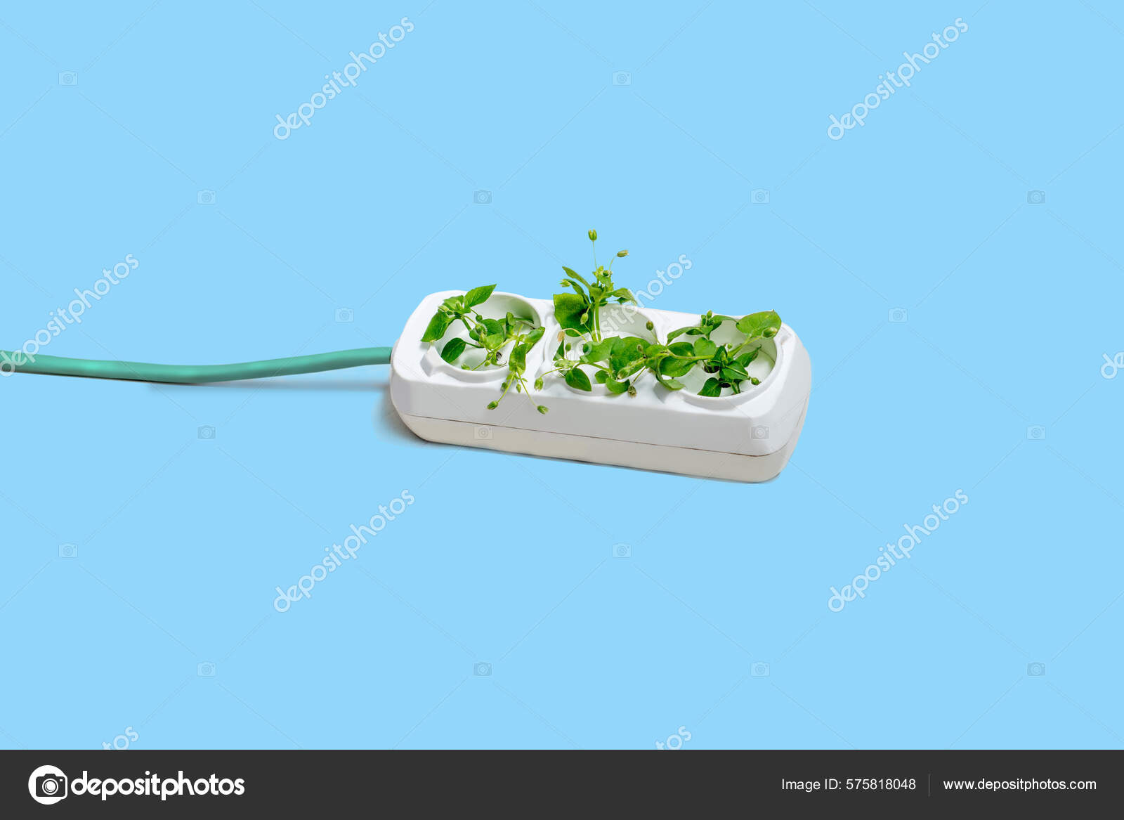 Electric Socket Green Plants Concept Sustainable Resources Renewable ...