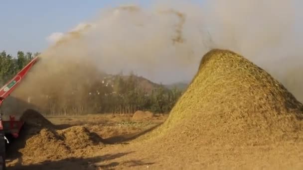 54 Rice husks Videos, Royalty-free Stock Rice husks Footage | Depositphotos