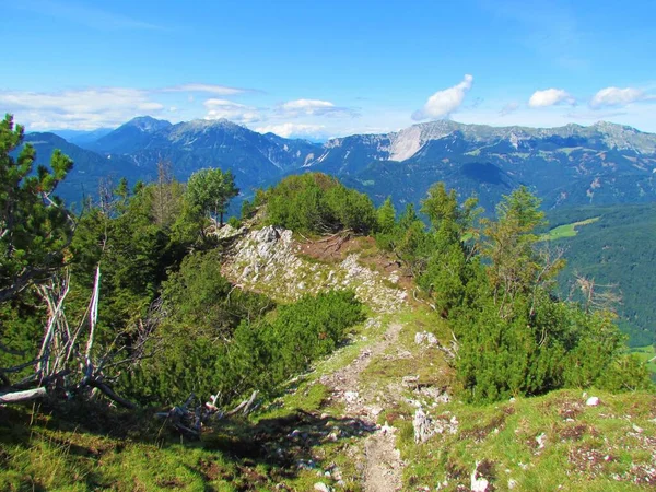 Range creep Stock Photos, Royalty Free Range creep Images | Depositphotos