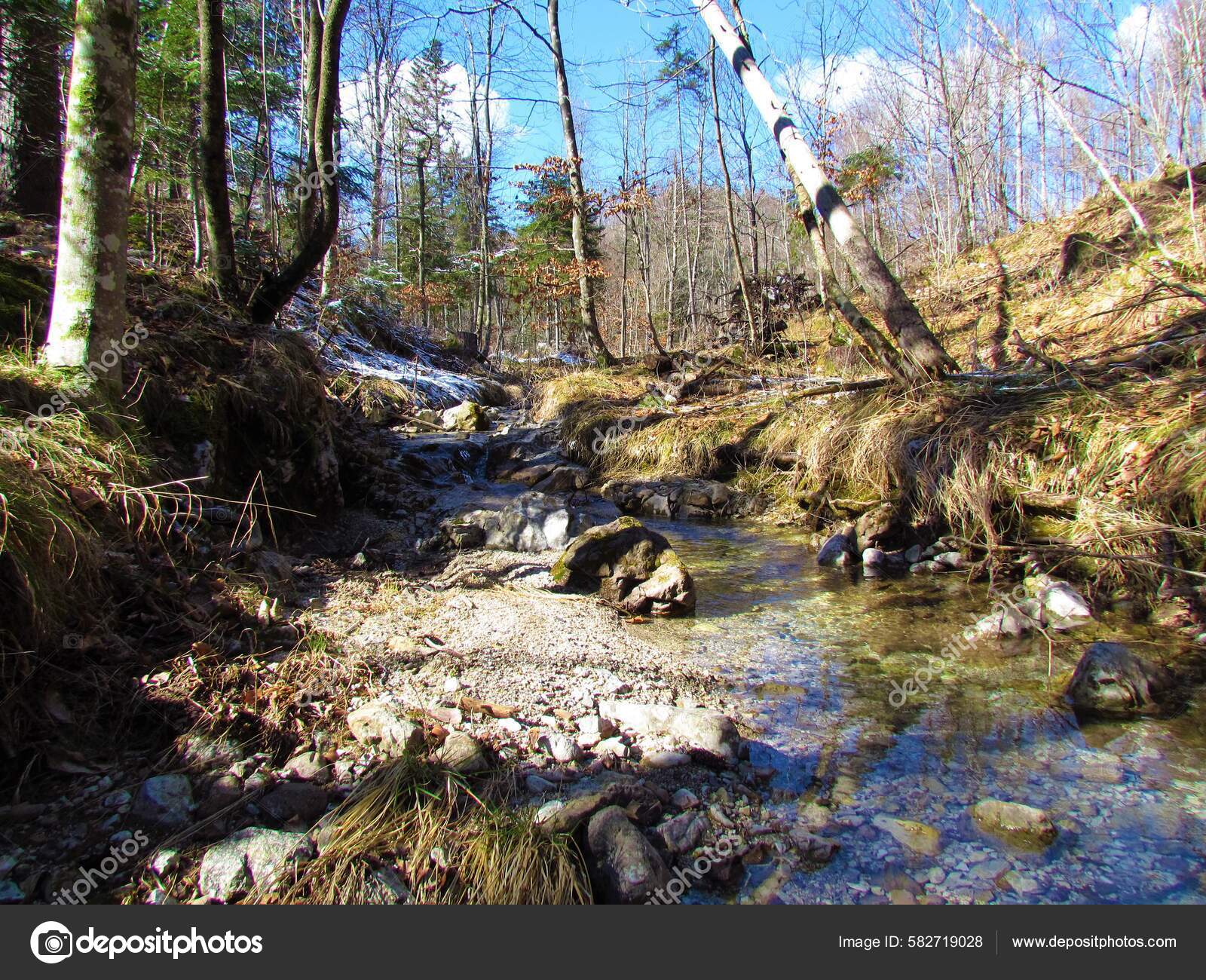 Stream Flowing Temperate Deciduous Broadleaf Forest Snow Dry Grass Lit — Stock Photo © kato08 ...