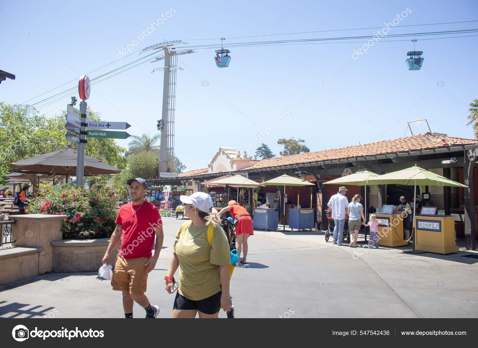 People Walking At The Zoo