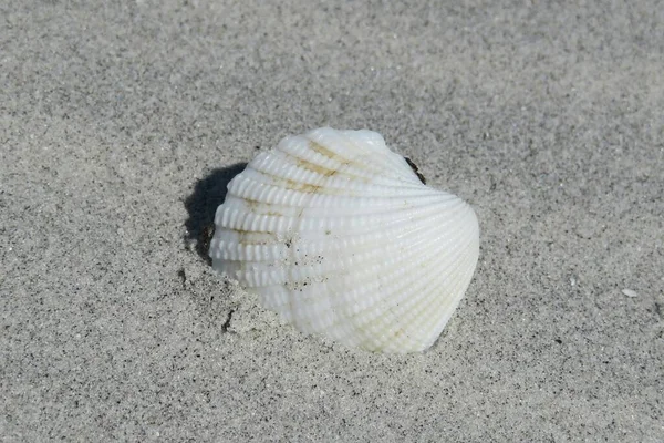 En las playas de la costa Stock Photos, Royalty Free En las playas de ...