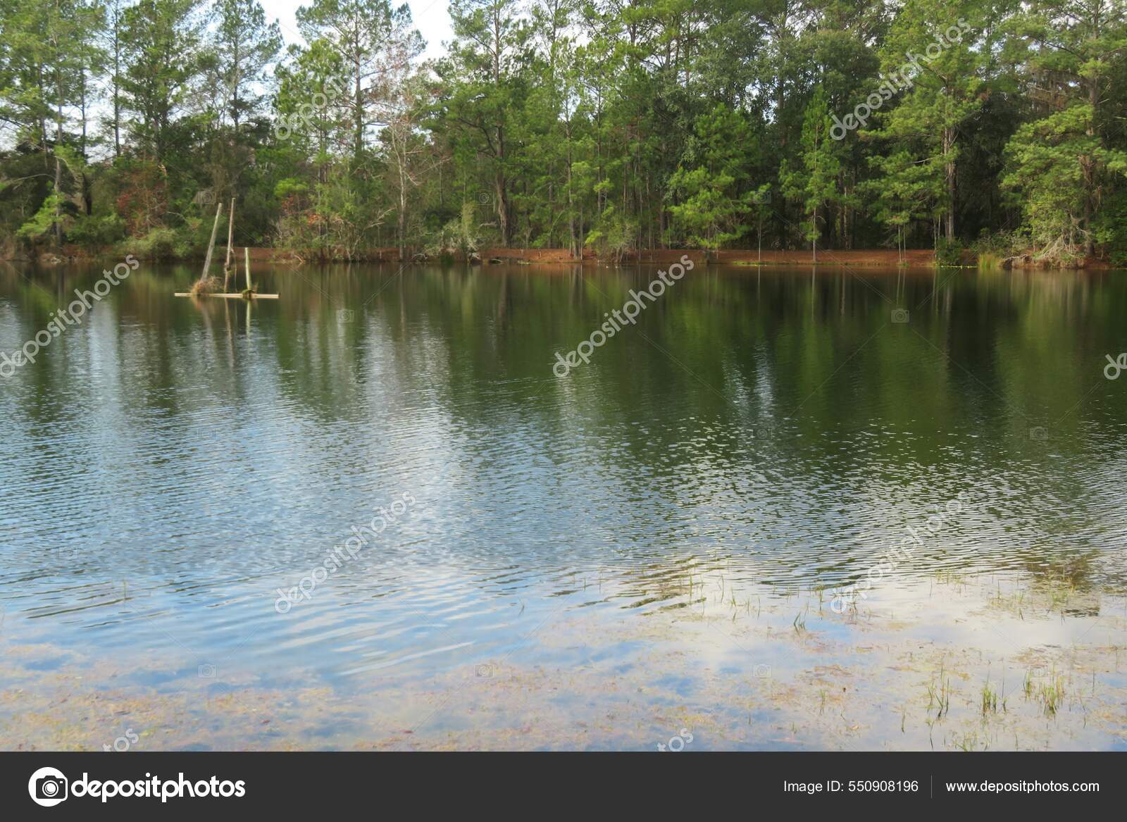 Beautiful View River Marshes North Florida — Stock Photo © Natalya50125 ...