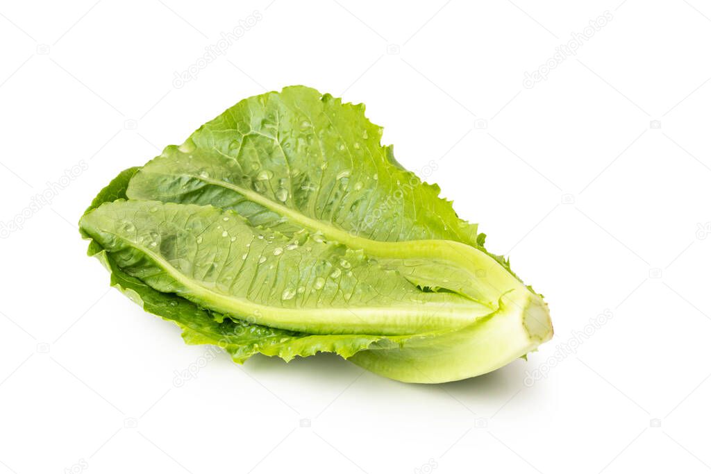 Un recorte de la lechuga romana verde oscuro fresco o coraz n de ...