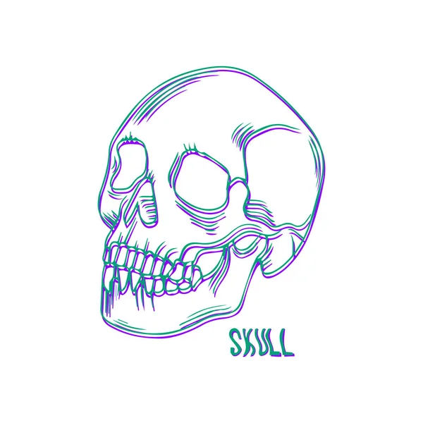 Skull line art Stock Photos, Royalty Free Skull line art Images ...