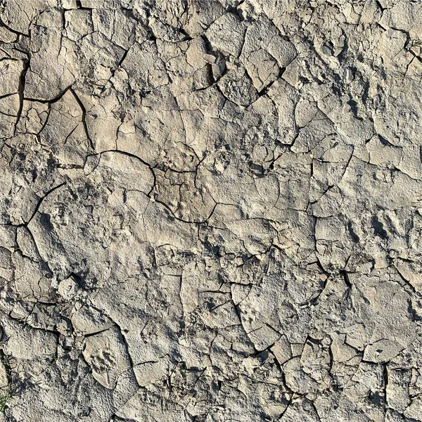 Mud background Stock Photos, Royalty Free Mud background Images ...