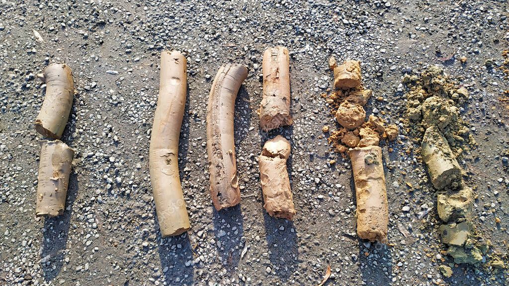 Muestreo de suelo con cuchara partida para ingeniería geotécnica ...