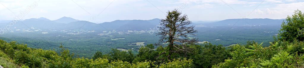 Devils backbone Stock Photos, Royalty Free Devils backbone Images ...