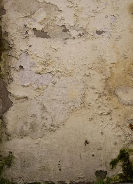 Damaged Plaster texture, cracked texture with fine detail High ...