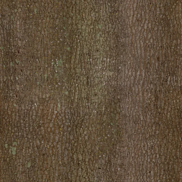 Birch seamless texture Stock Photos, Royalty Free Birch seamless ...