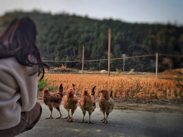 Bird woman Images - Search Images on Everypixel