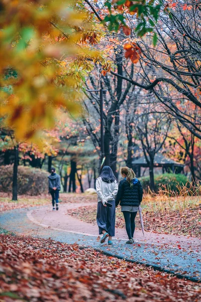 autumn, fall, walk, season, people, relationship, love, happiness ...