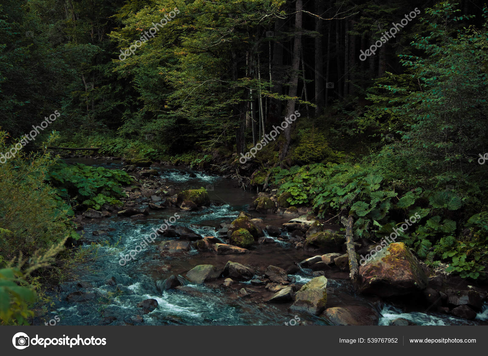 Atmospheric Forest Nature Landscape Highland River Environment Space ...