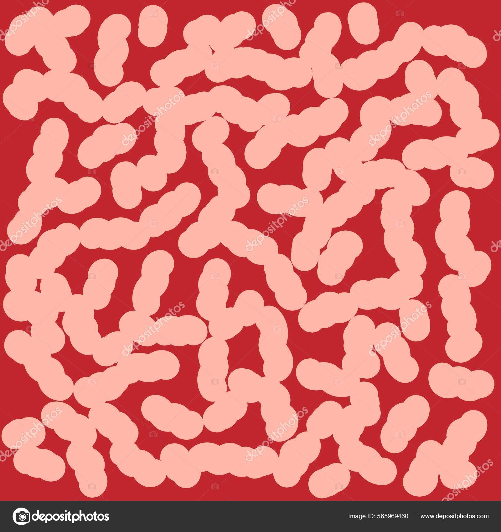 Patrón Intestino Gusanos Ilustración Vectorial Vector de stock ...